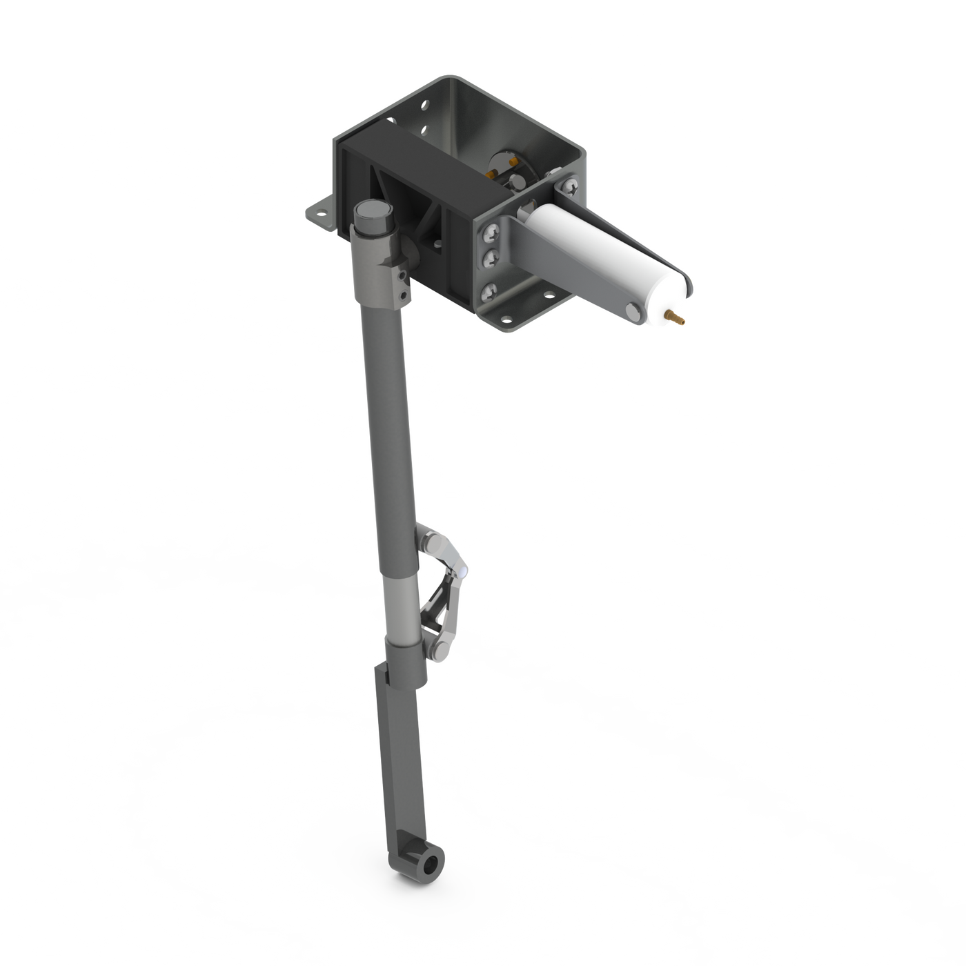 High Viz RC